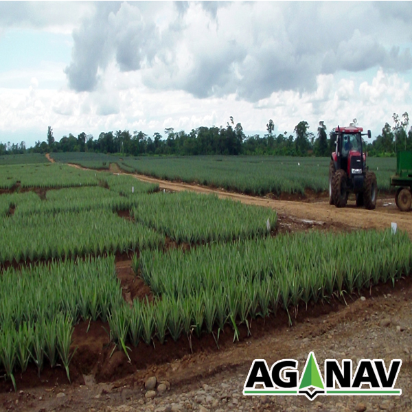 GPS Agriculture Photos